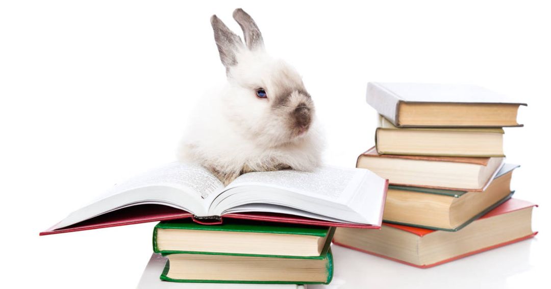 Book Publishing from A to Z | LODE Publishing