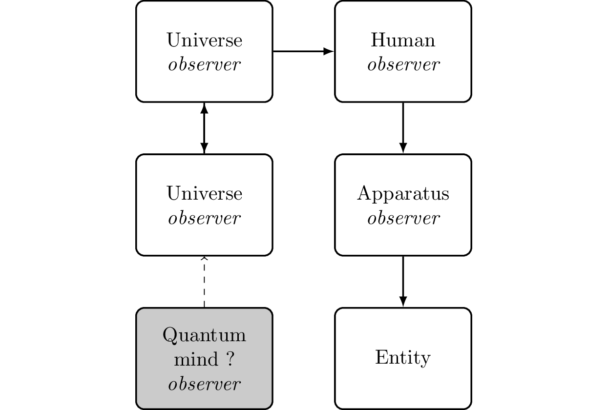 What Theories of Consciousness were there in the Past?