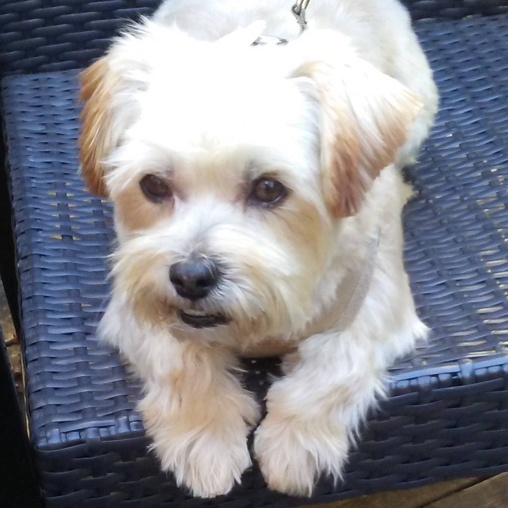 Book Publishing from A to Z | LODE Publishing