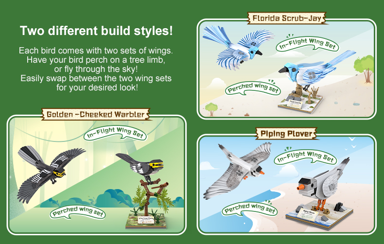 Endangered Birds of North America | CaDA Bricks