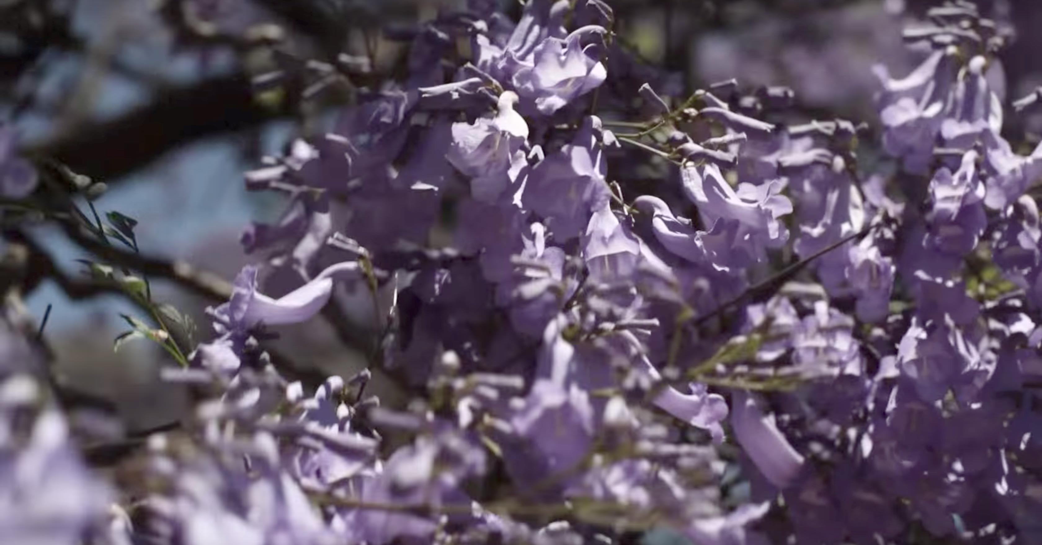 XENOS | Ellipses […] Journal for Creative Research