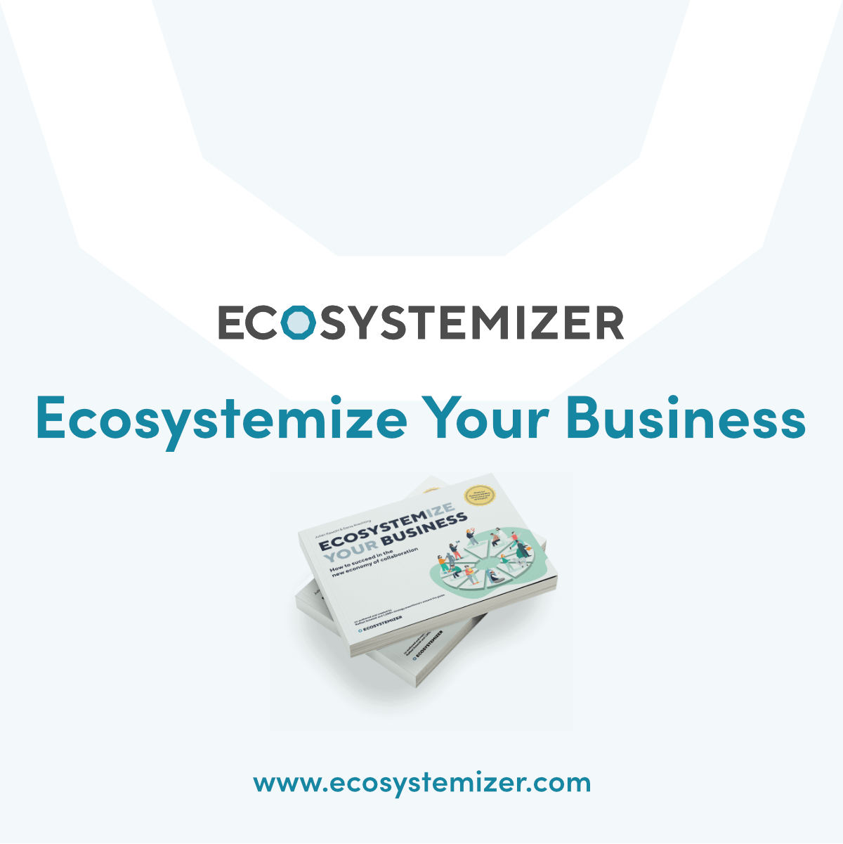 Ecosystemize Your Business I Ecosystemizer Book