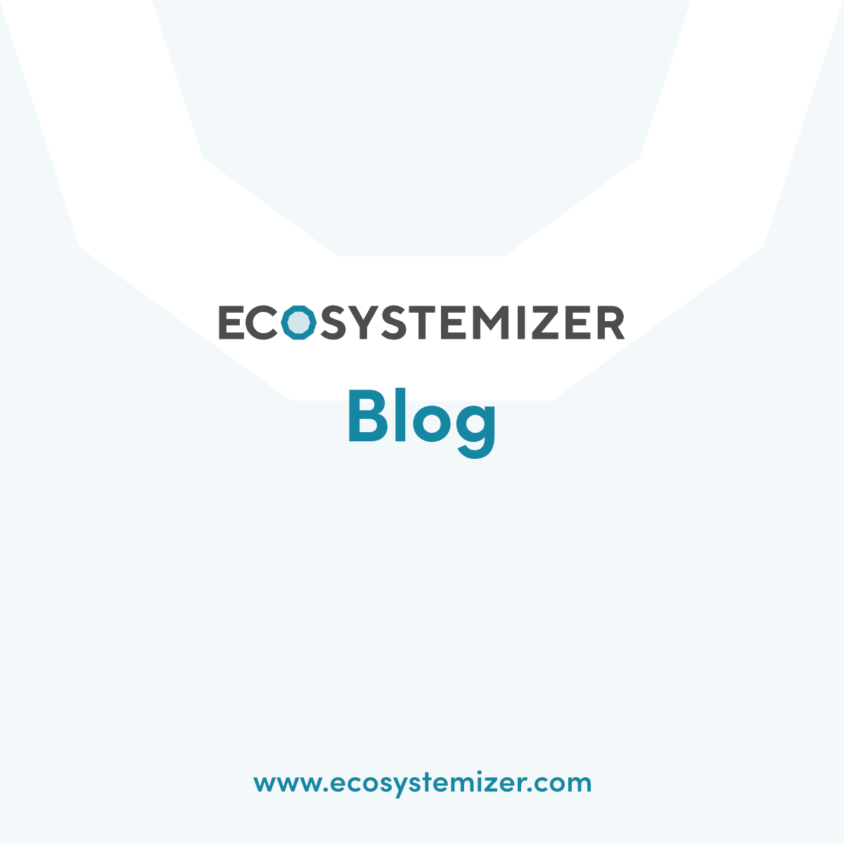 Blog I Ecosystemizer