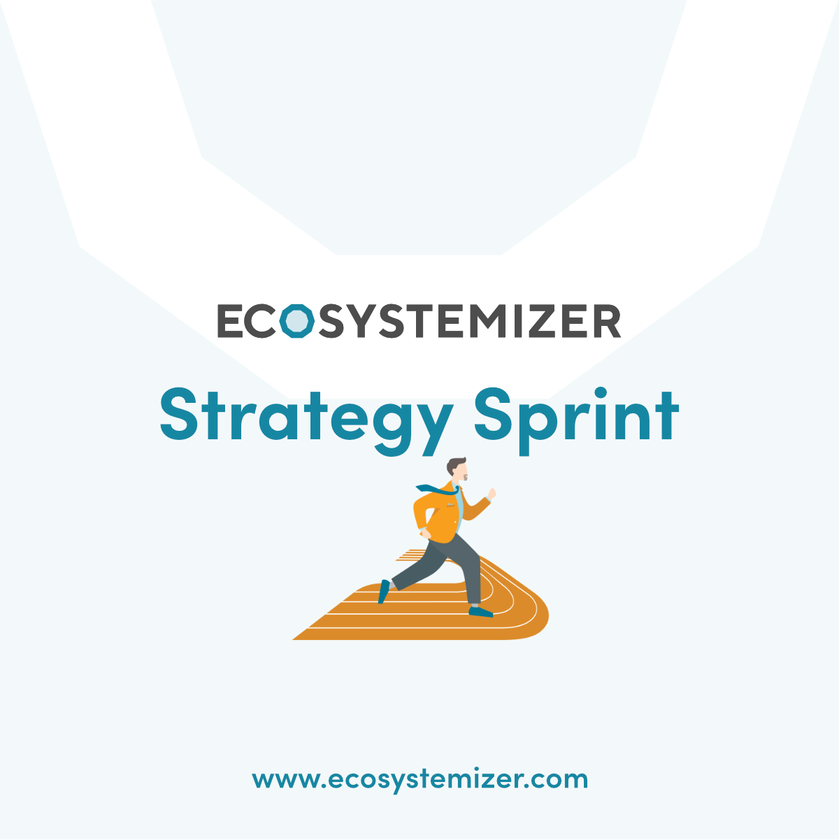 Strategy Sprint I Ecosystemizer
