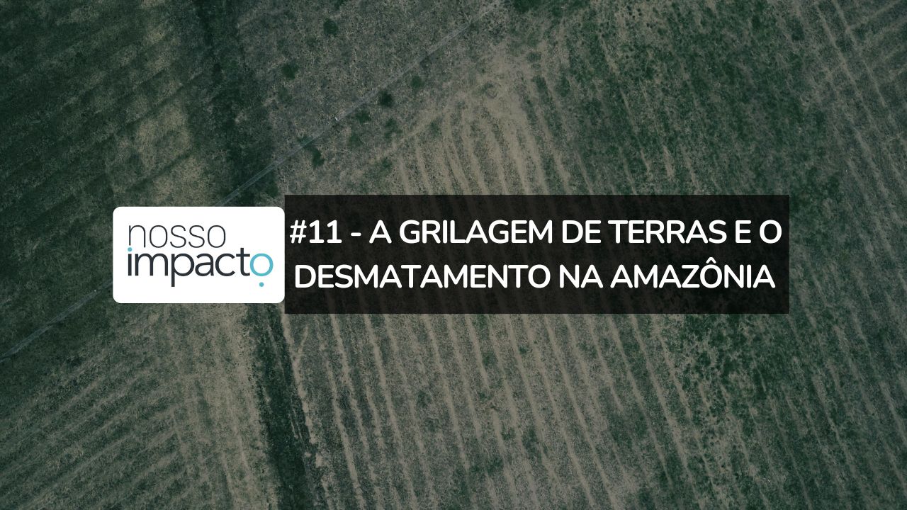 Grilagem de terras: o que é a prática e como ela impulsiona o desmatamento na Amazônia - Nosso ...