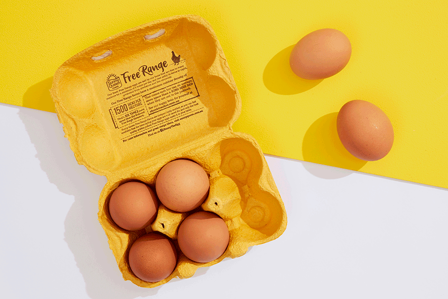 The Wonderful World of Science Experiments for Kids | Learn ...