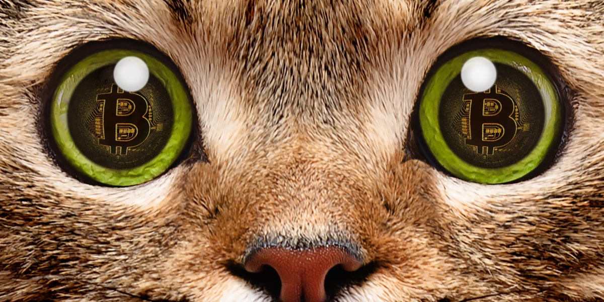 A guide to the NBX referral program