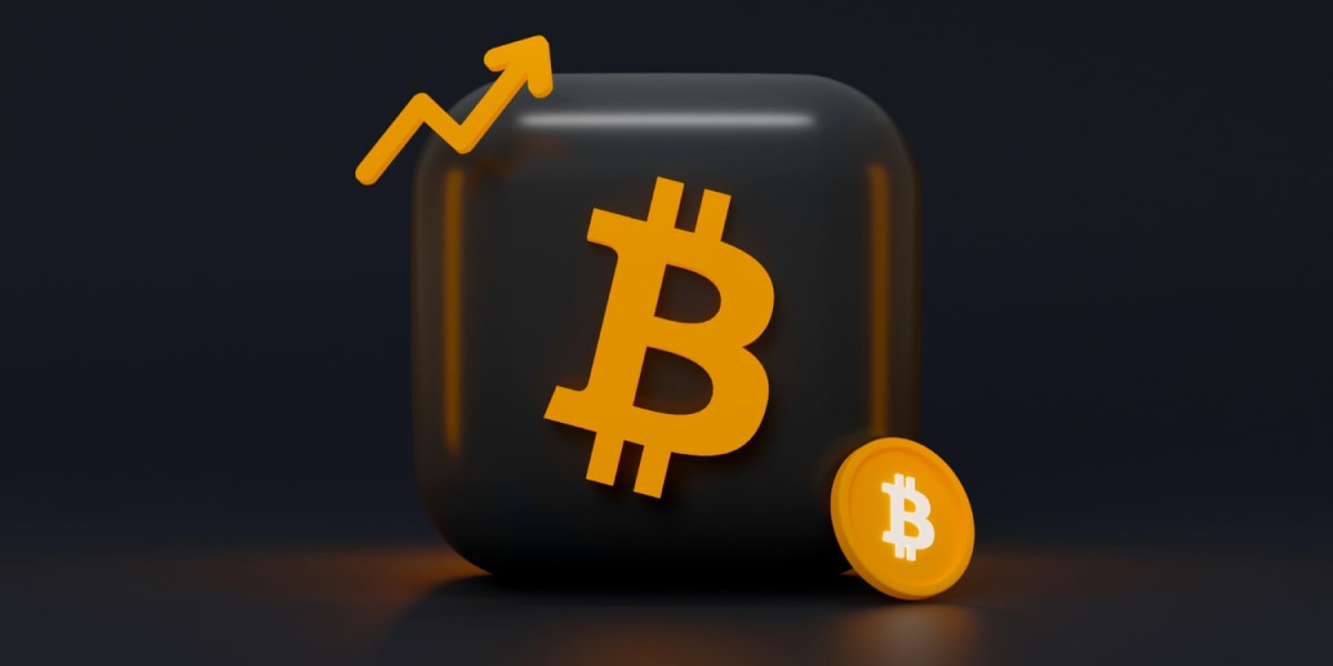 The Rise of Bitcoin Adoption