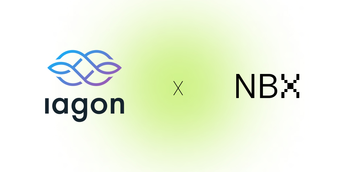 An introduction to Iagon