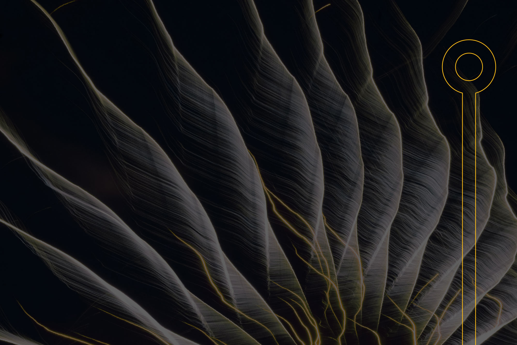 Final Bell - Capabilities