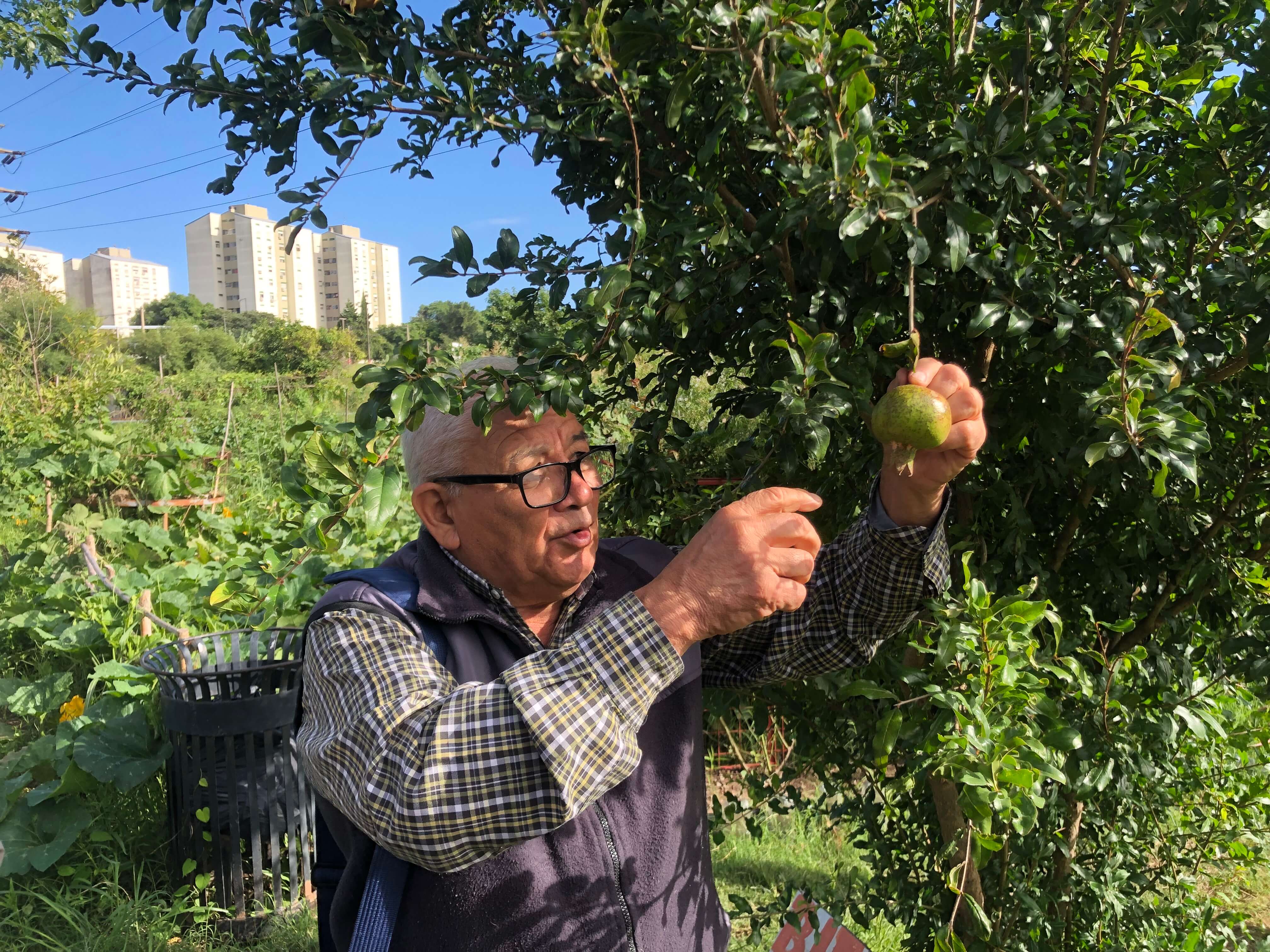 Shared Assets - Home