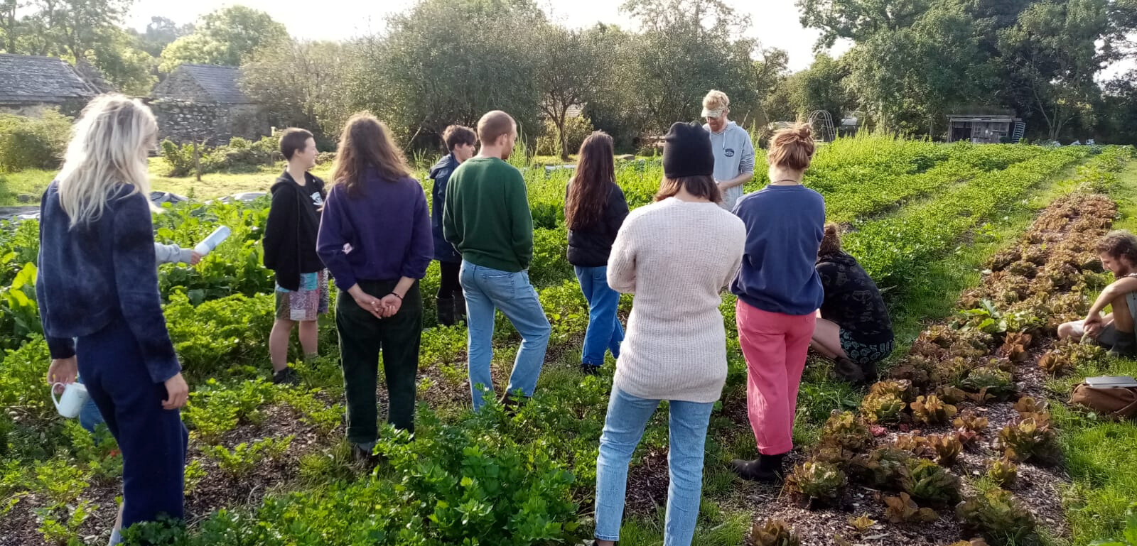 Research and Learning