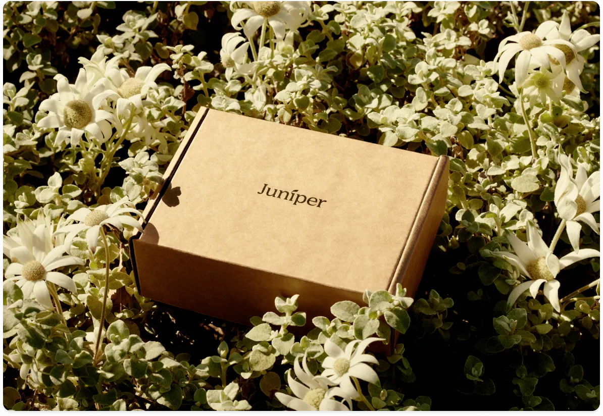 Online Weight Loss Treatments | Juniper