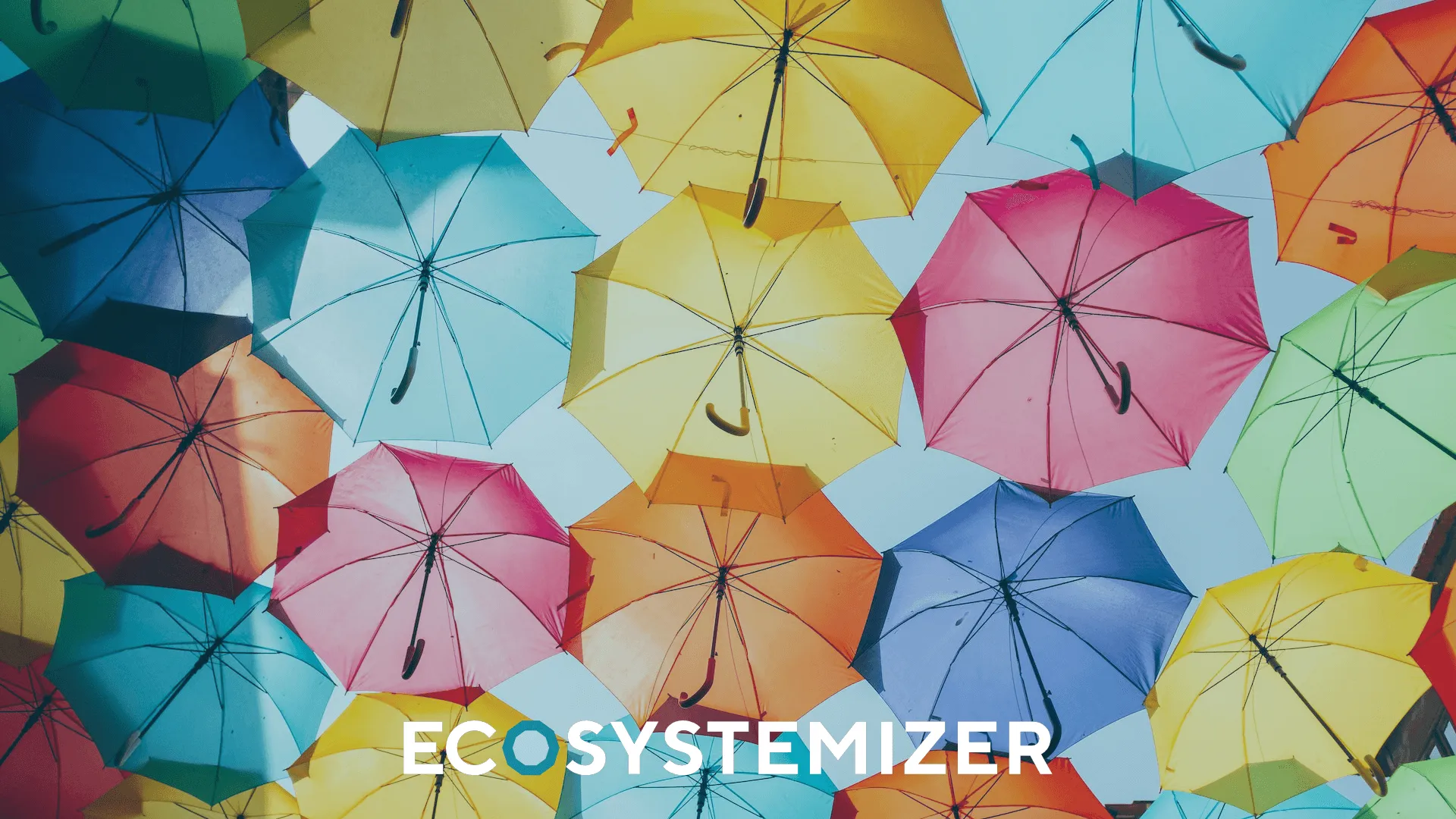 Successfully shaping insurance ecosystems I Blog Ecosystemizer