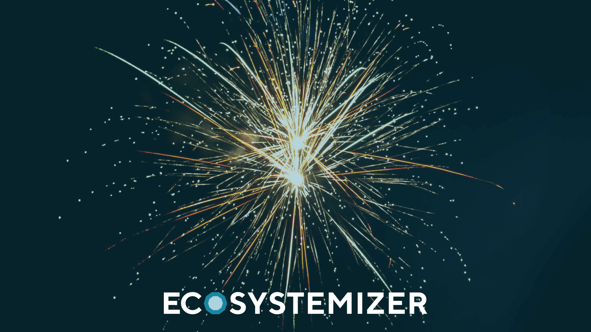 2020 in retrospect: Our highlights I Blog Ecosystemizer
