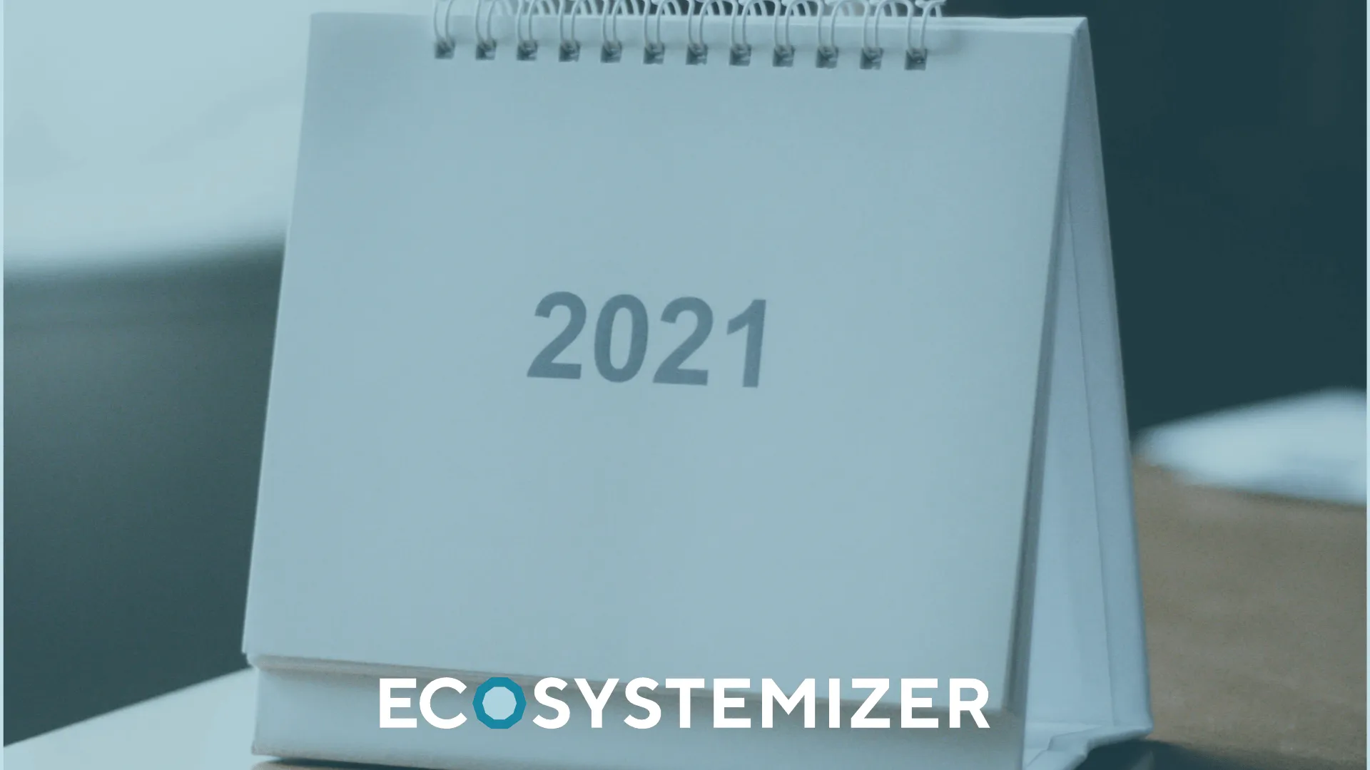 2021 in Retrospect: Our Highlights I Blog Ecosystemizer