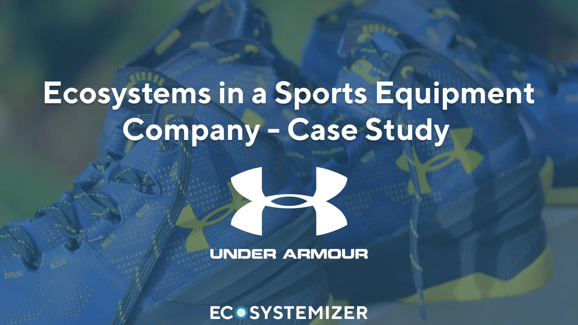 Ecosystems in a Sports Equipment Company - Case Study Under Armour I Blog Ecosystemizer