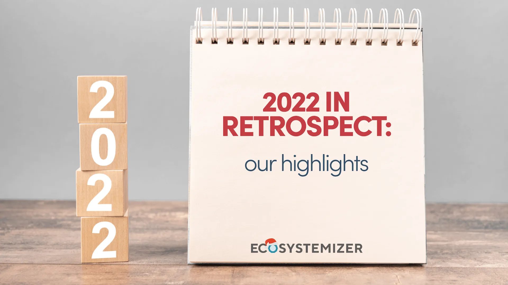 2022 in Retrospect our Highlights I Blog Ecosystemizer