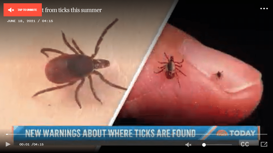 Today: Experts predict explosive tick season this year: How to stay safe