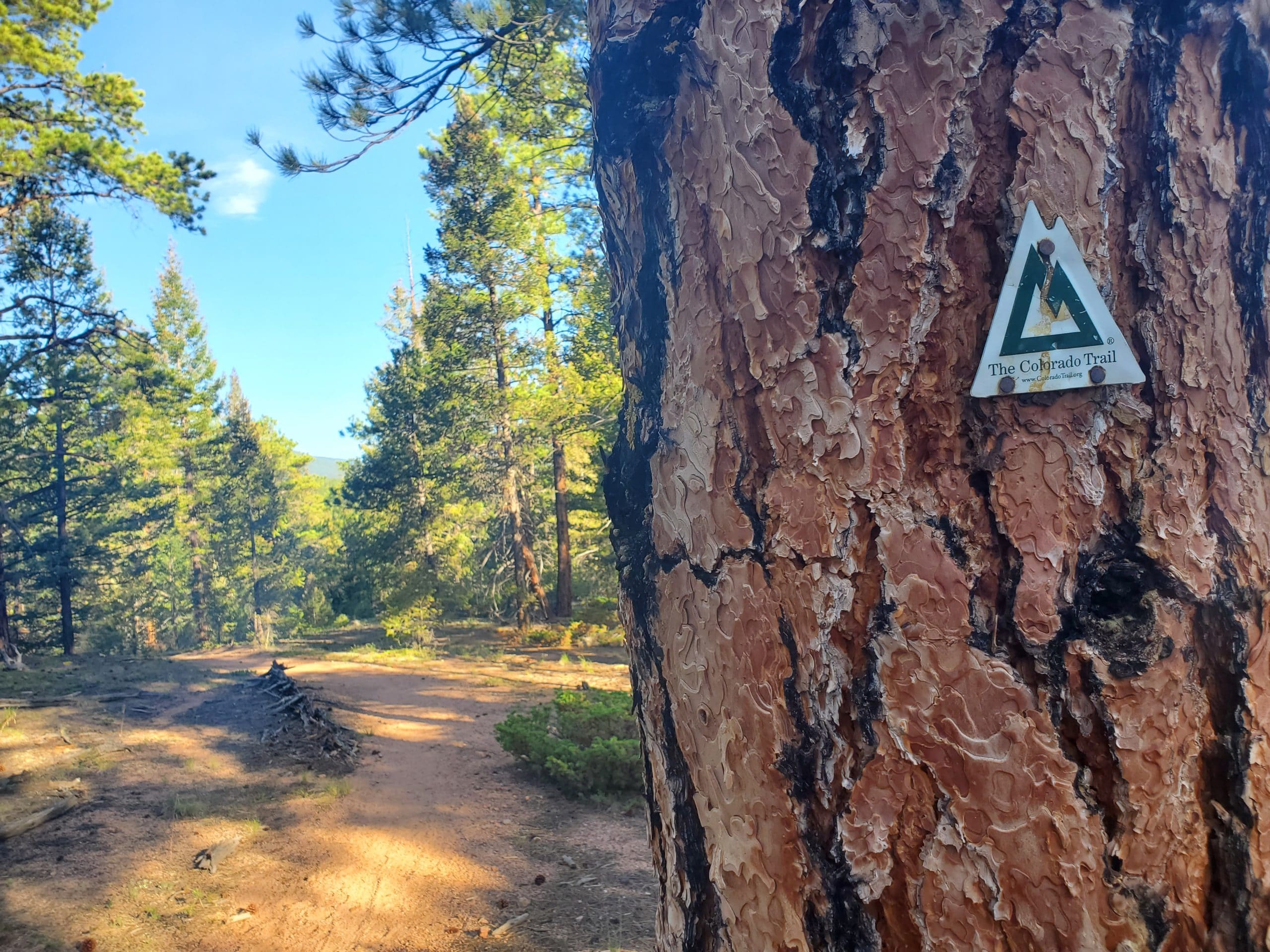 The Trek: Our Colorado Trail Gear Lists: The Comforts and Details