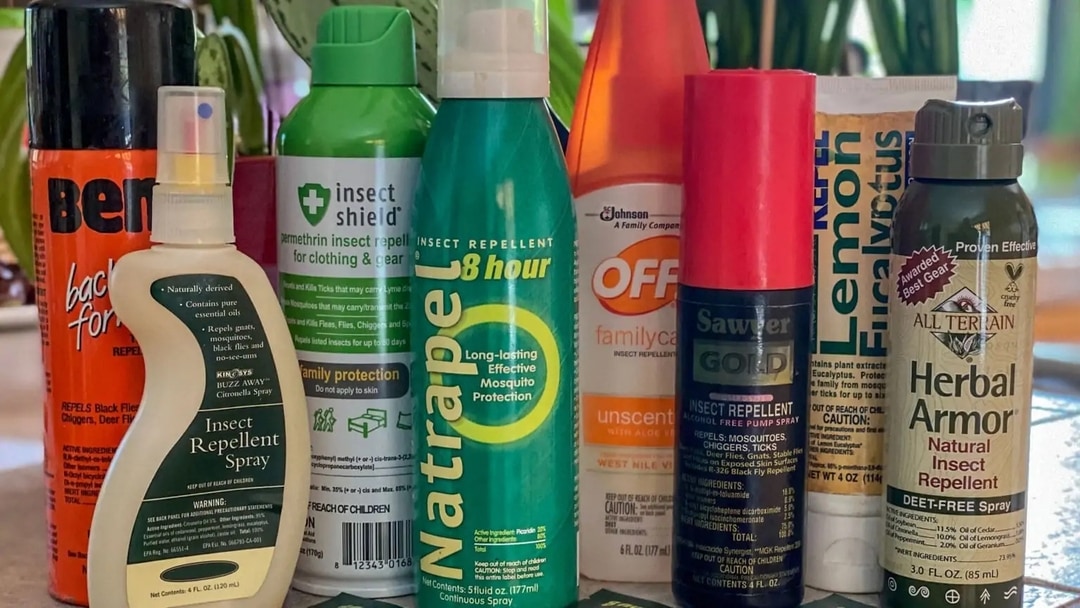 Travel Tales: Choosing Bug Repellents: Which is the best insect ...
