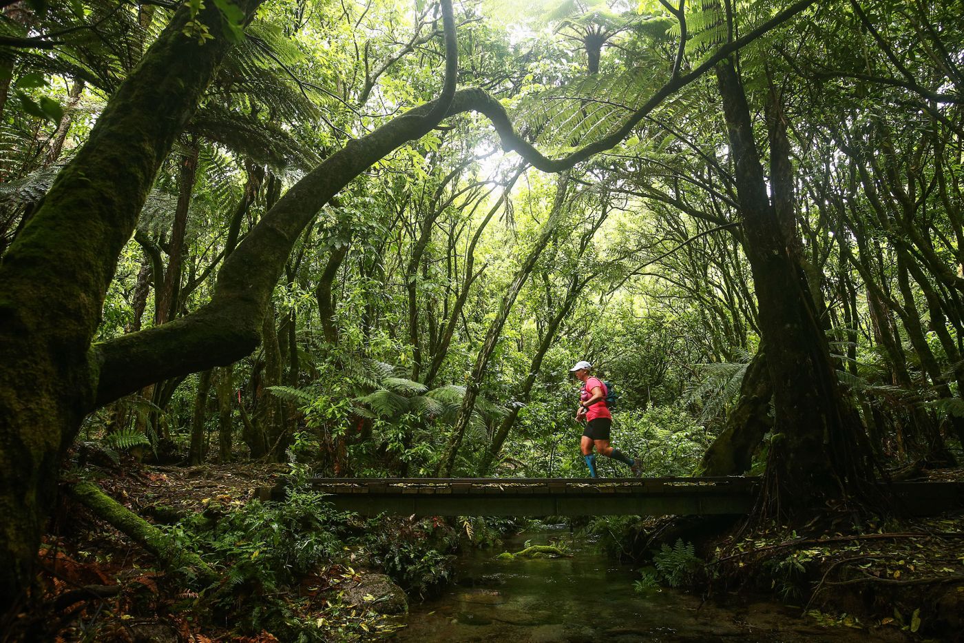 NY Mag: Everything You Need to Go Trail Running, According to Trail Runners