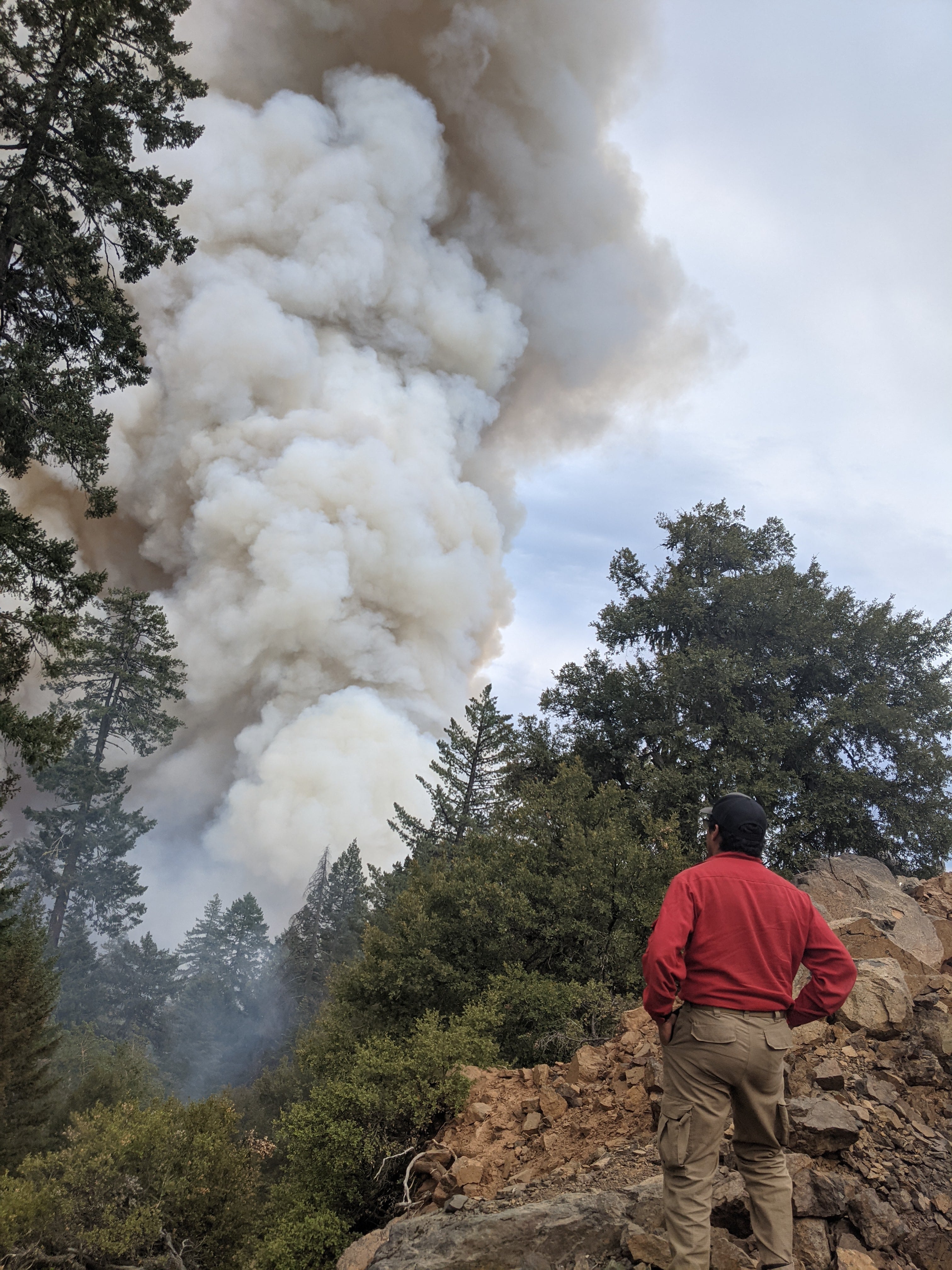 War on Wildland Fires: From the Frontline