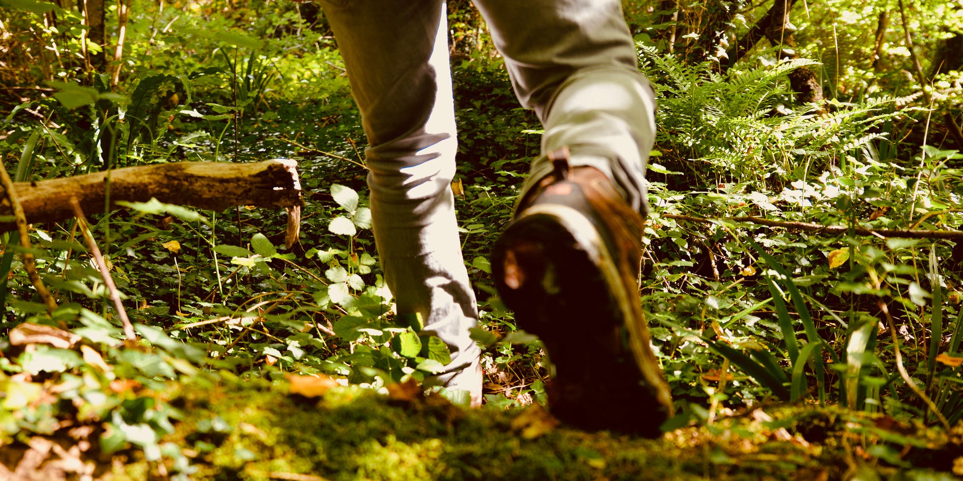 New York Times: Wirecutter: We Hate Ticks, Too. Here’s How to Protect ...