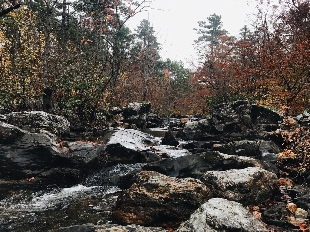 Lyme Disease Vaccine Enters Third Phase of Clinical Trials