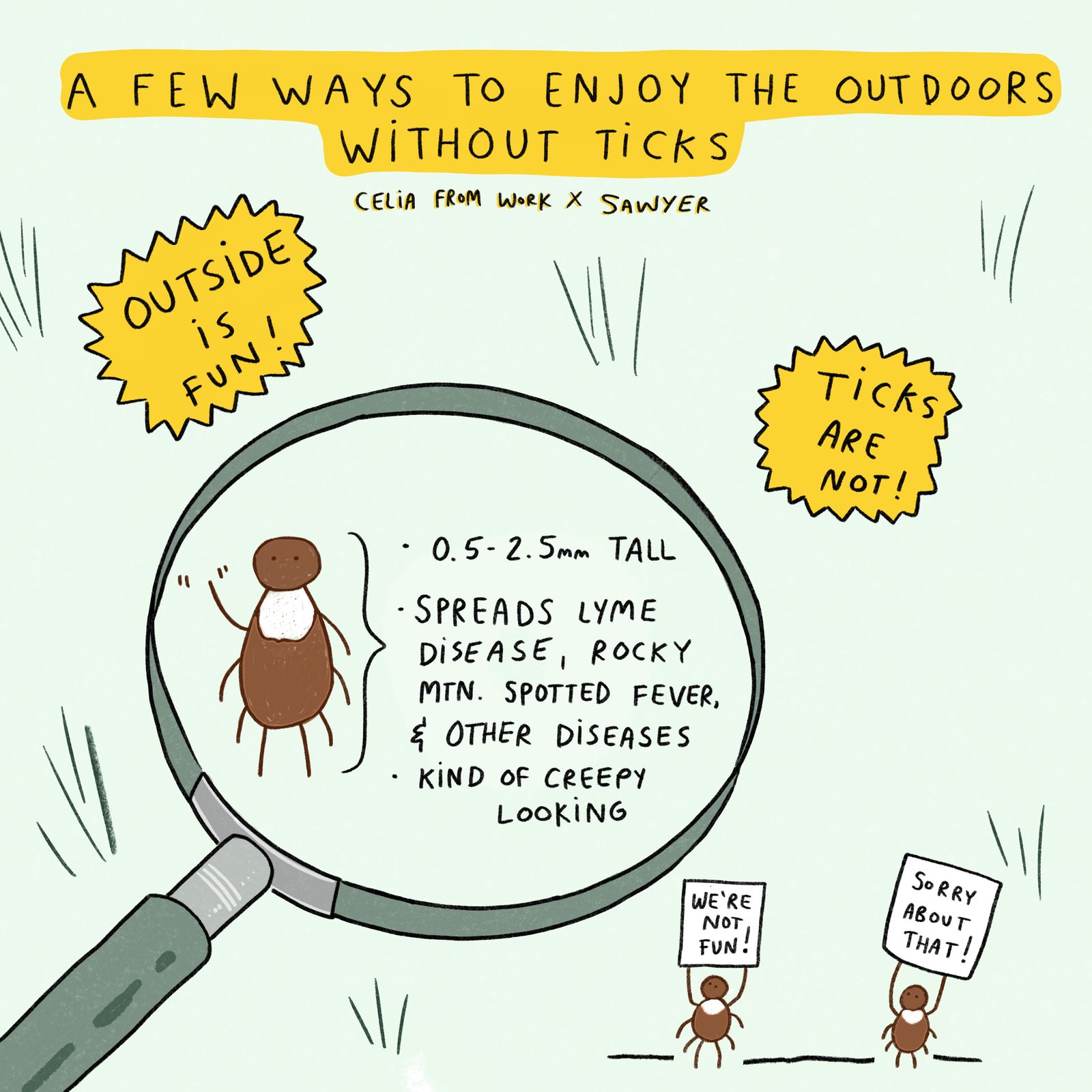 A Few Ways to Enjoy the Outdoors Without Ticks