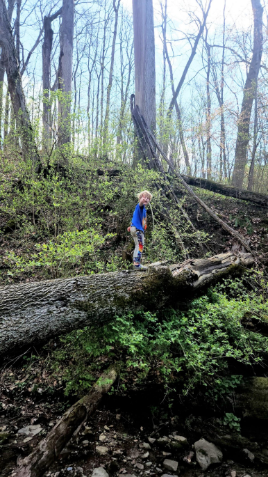 7 Ways to Teach Kids to Be Nature Defenders