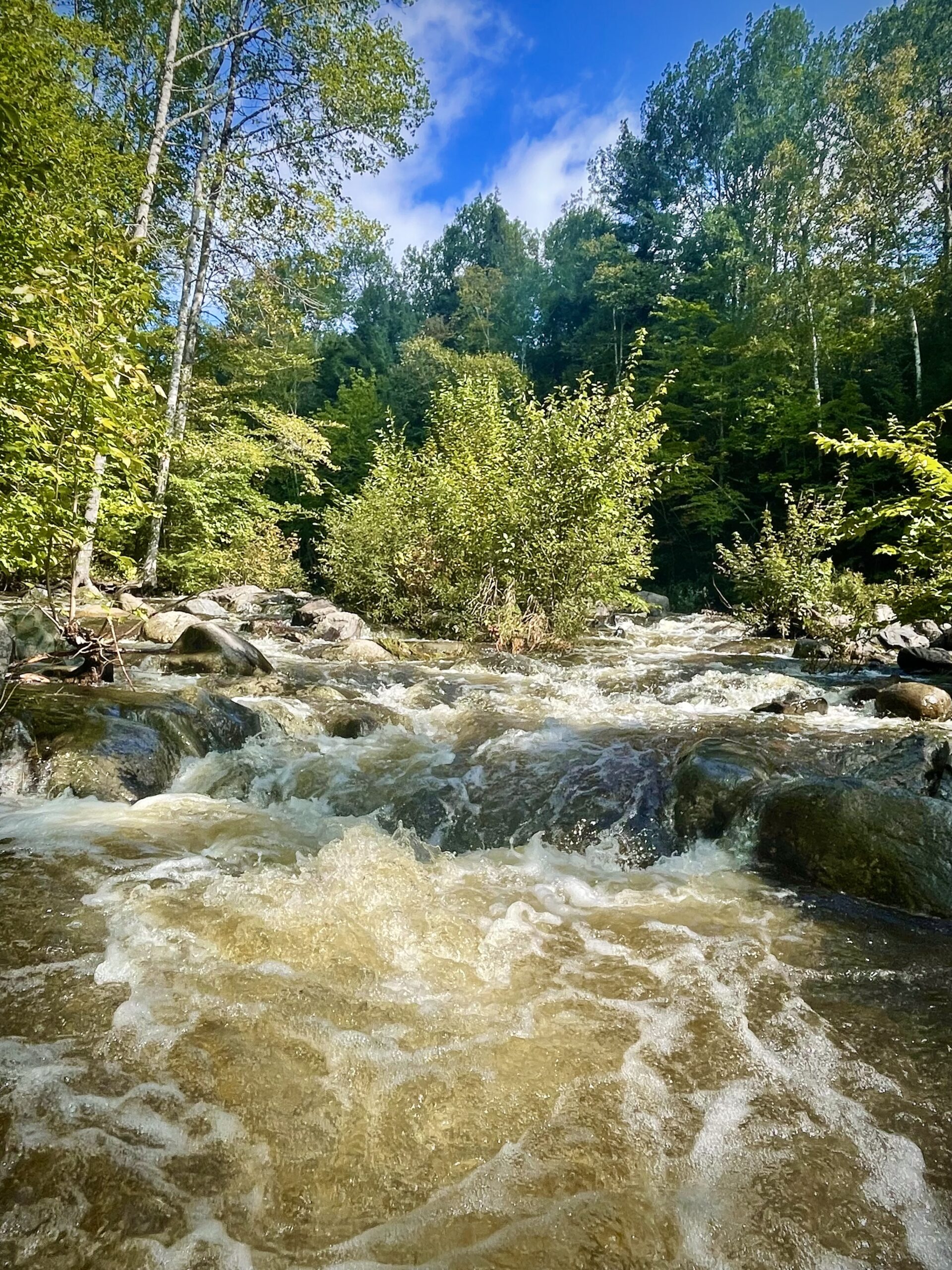 The Trek: Day 158 – Discomfort Is Where Growth Happens