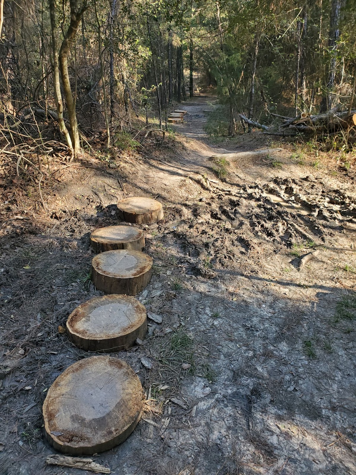 How YOU Can Help Improve Trail Accessibility for Persons with Disabilities