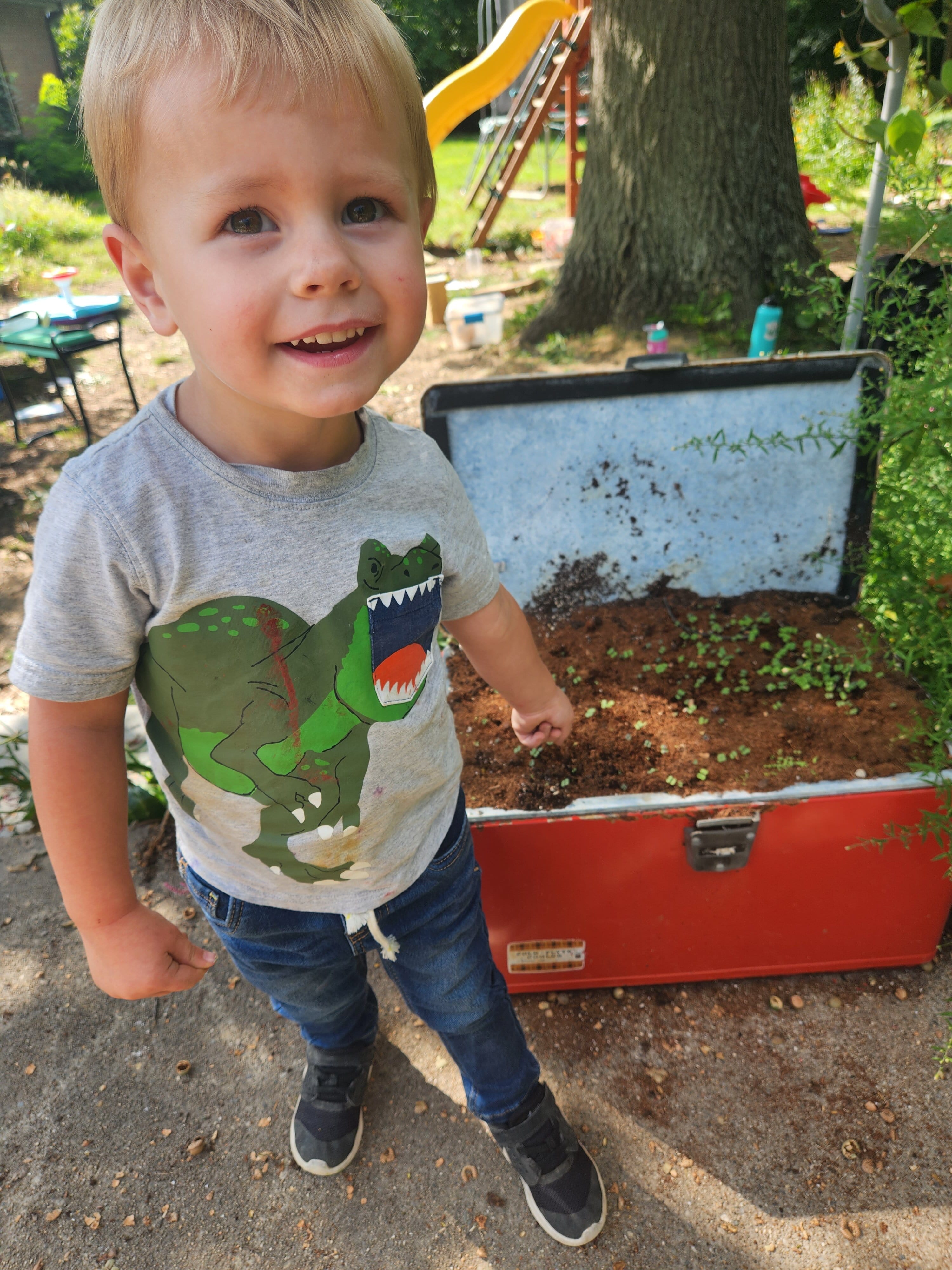 Leveling Up Your Backyard Game