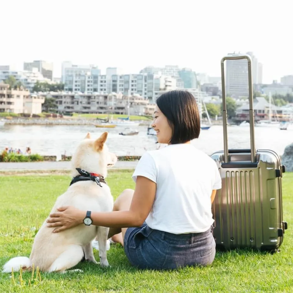 Nursing Compact States Guide 2024 | Trusted Health