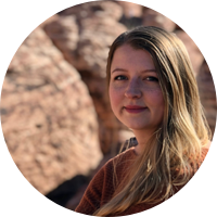 Wellness Partner Program