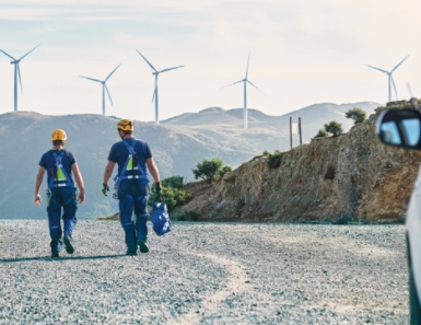 Agriculture, Horticulture & Engineering Consultants NZ - AgFirst