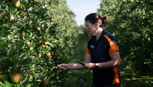 Agriculture, Horticulture & Engineering Consultants NZ - AgFirst