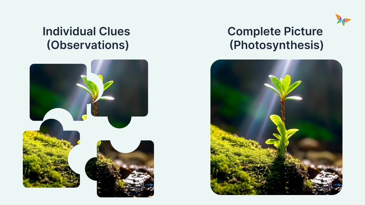 Inductive Method of Teaching Explained Simply For Teachers