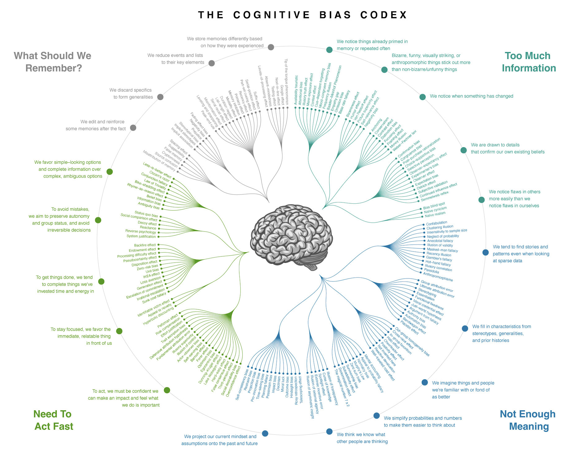Les biais cognitifs dans la démarche design - Keley