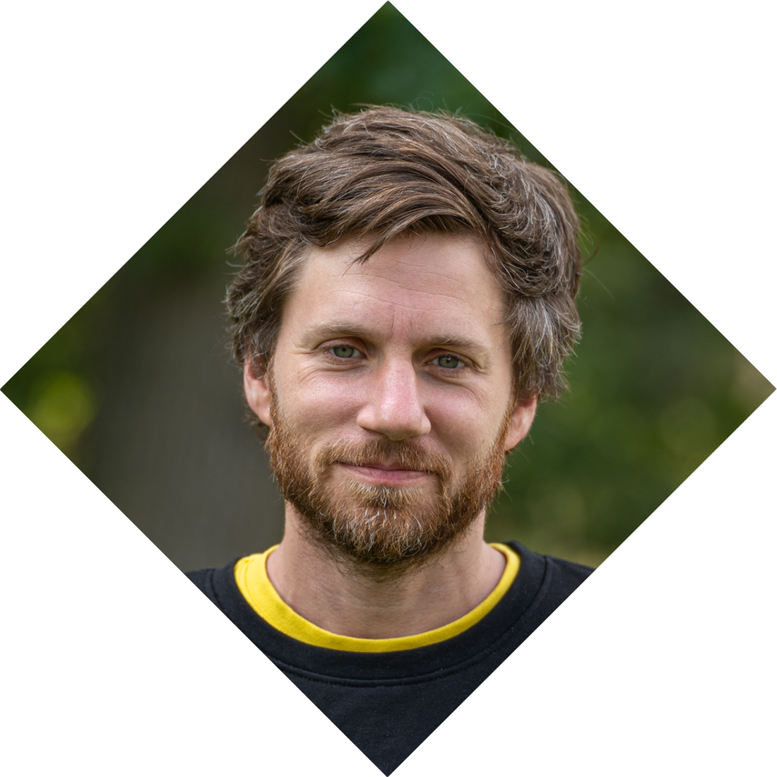 Skyseed | Waldumbau und -aufbau