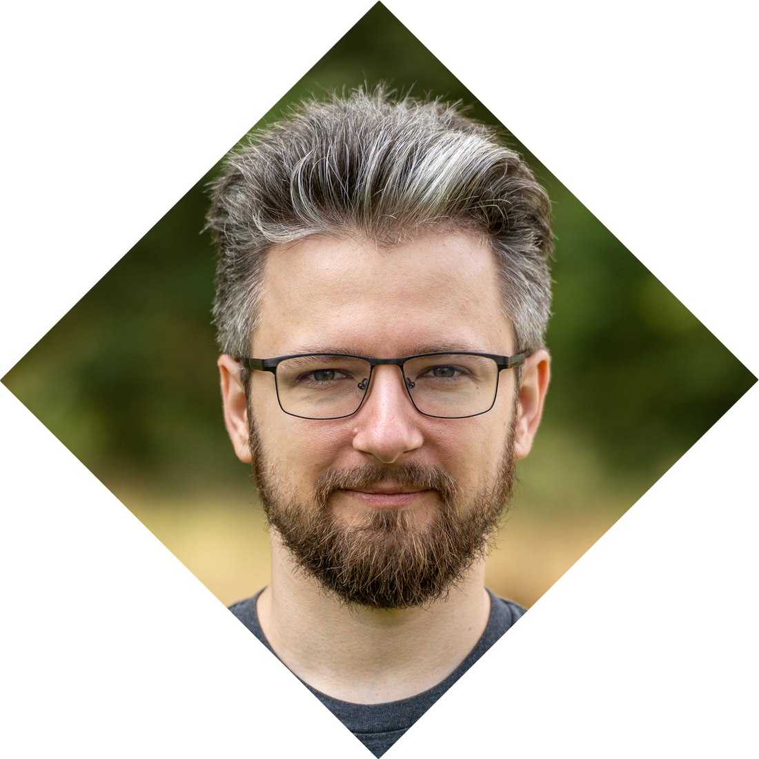 Skyseed | Waldumbau und -aufbau