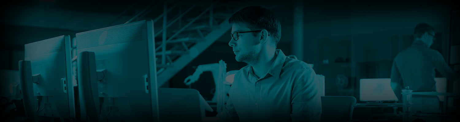 What is a Citizen Integrator?