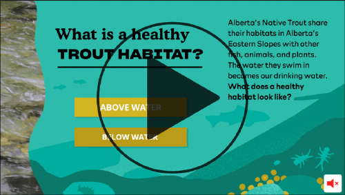 Alberta's Native Trout