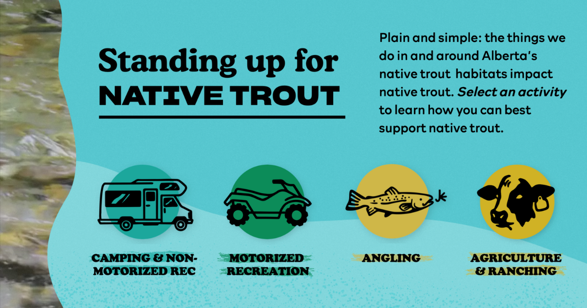 Stand Up For Alberta's Native Trout