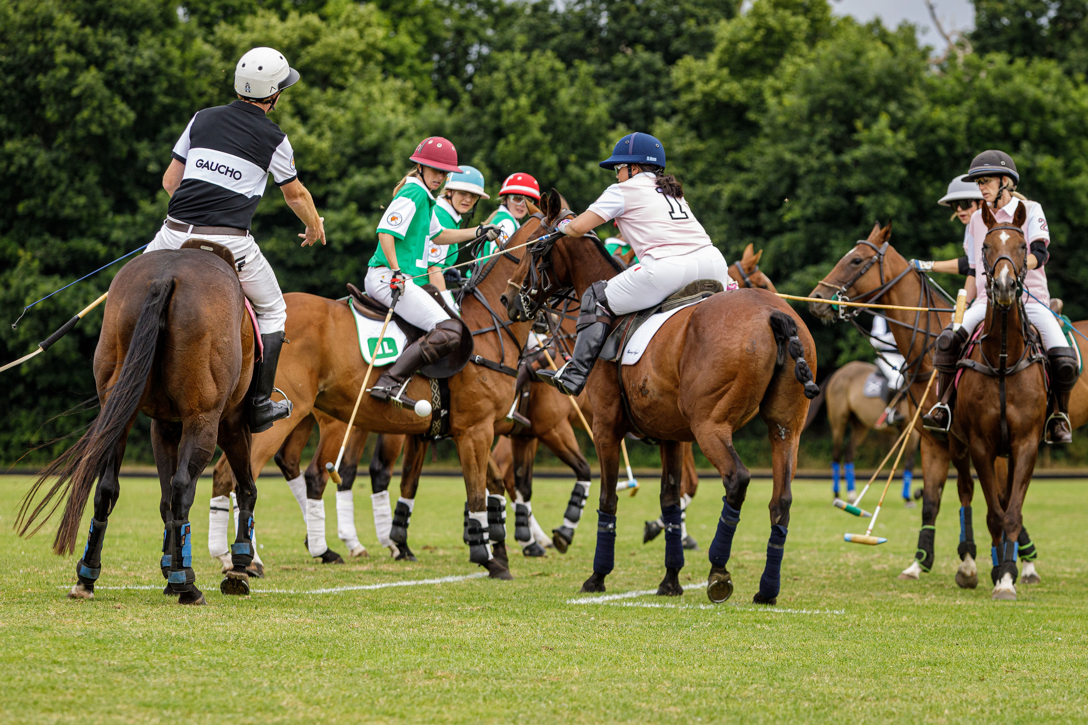 New to Polo?