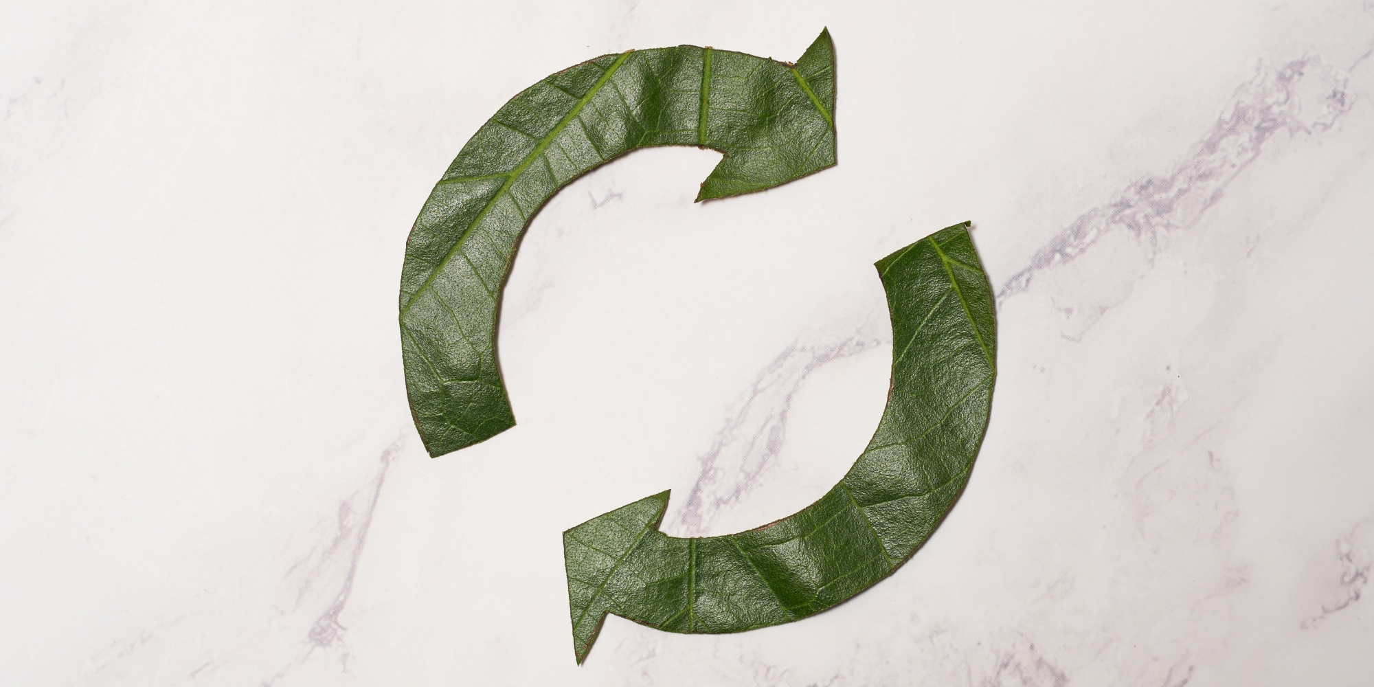 Consommation responsable : définition et exemples - Alterna