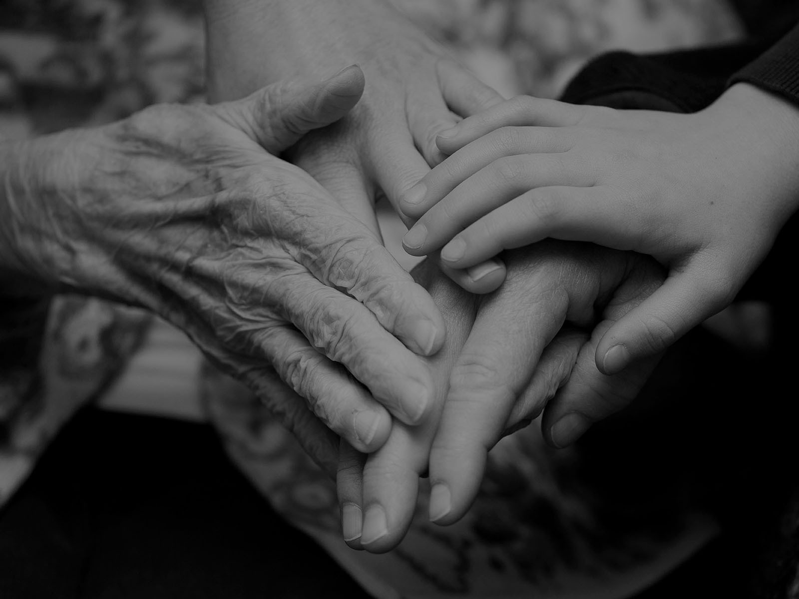 Our story — Saltoun