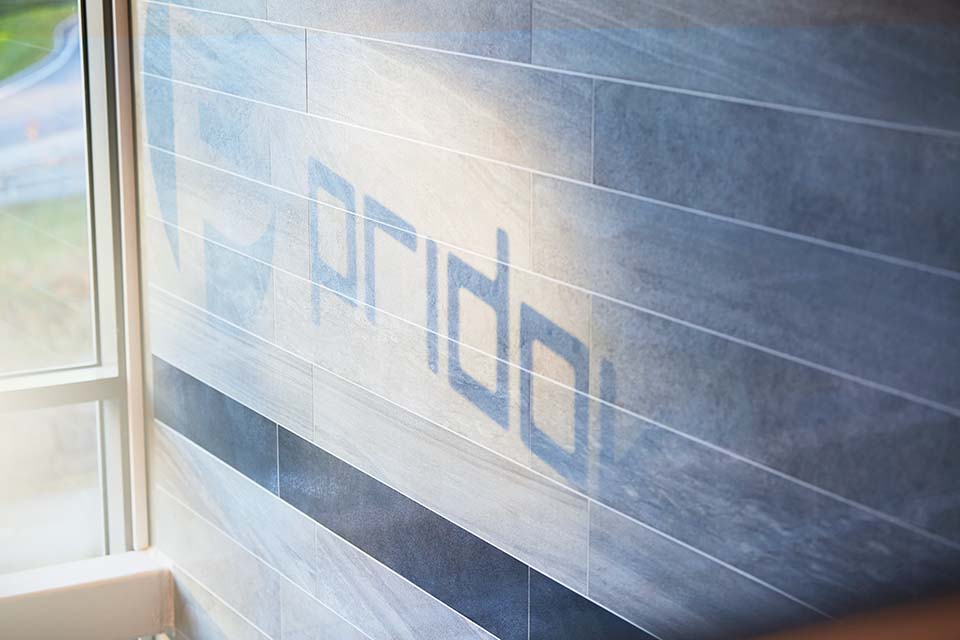 Pridok EPJ – Elektronisk pasientjournal