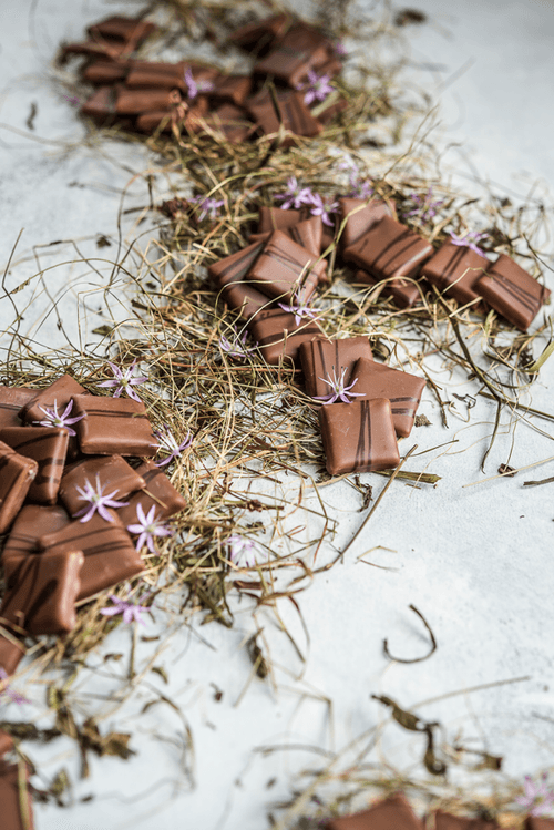 Max Chocolatier | handmade & natural chocolate - Max Chocolatier